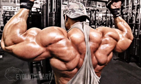 Top Bodybuilders – Evolutionary.org