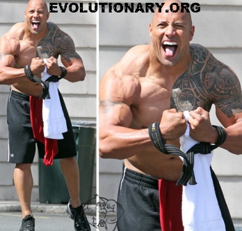 Dwayne Johnson Steroid Cycle – Evolutionary.org