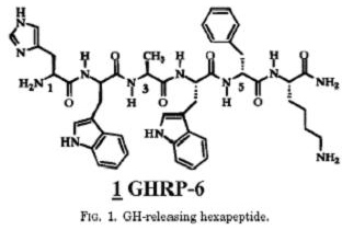GHRP-6 : What is it and what does it do? – Evolutionary.org