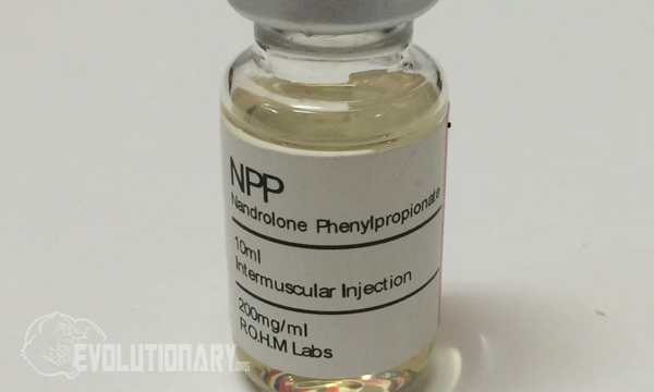 Nandrolone Phenylpropionate (NPP) – Evolutionary.org