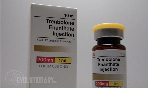 Testosterone 101 – Evolutionary.org