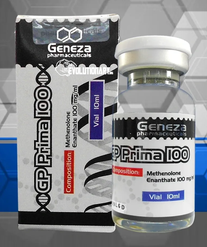 Primobolan and Winstrol to shred with GP Geneza – Evolutionary.org
